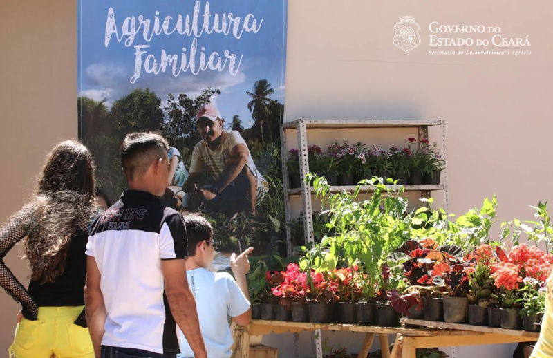 O que é agricultura familiar? - Secretaria do Desenvolvimento Agrário